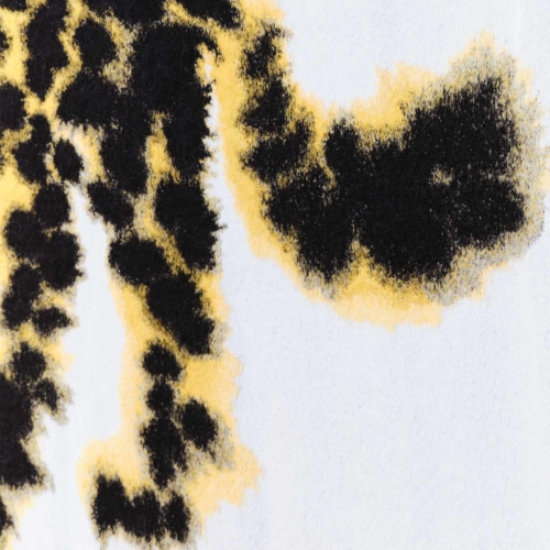 Wild Animals Cheetah by Rop Van Mierlo - Rossana Orlandi