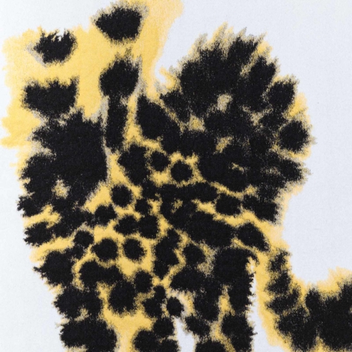 Wild Animals Cheetah by Rop Van Mierlo - Rossana Orlandi
